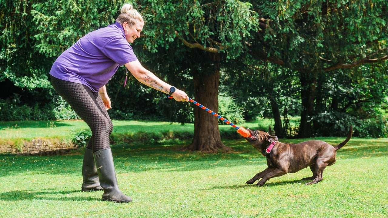 Tug-E-Nuff | Award Winning Dog Tug Toys | Play - Train - Bond