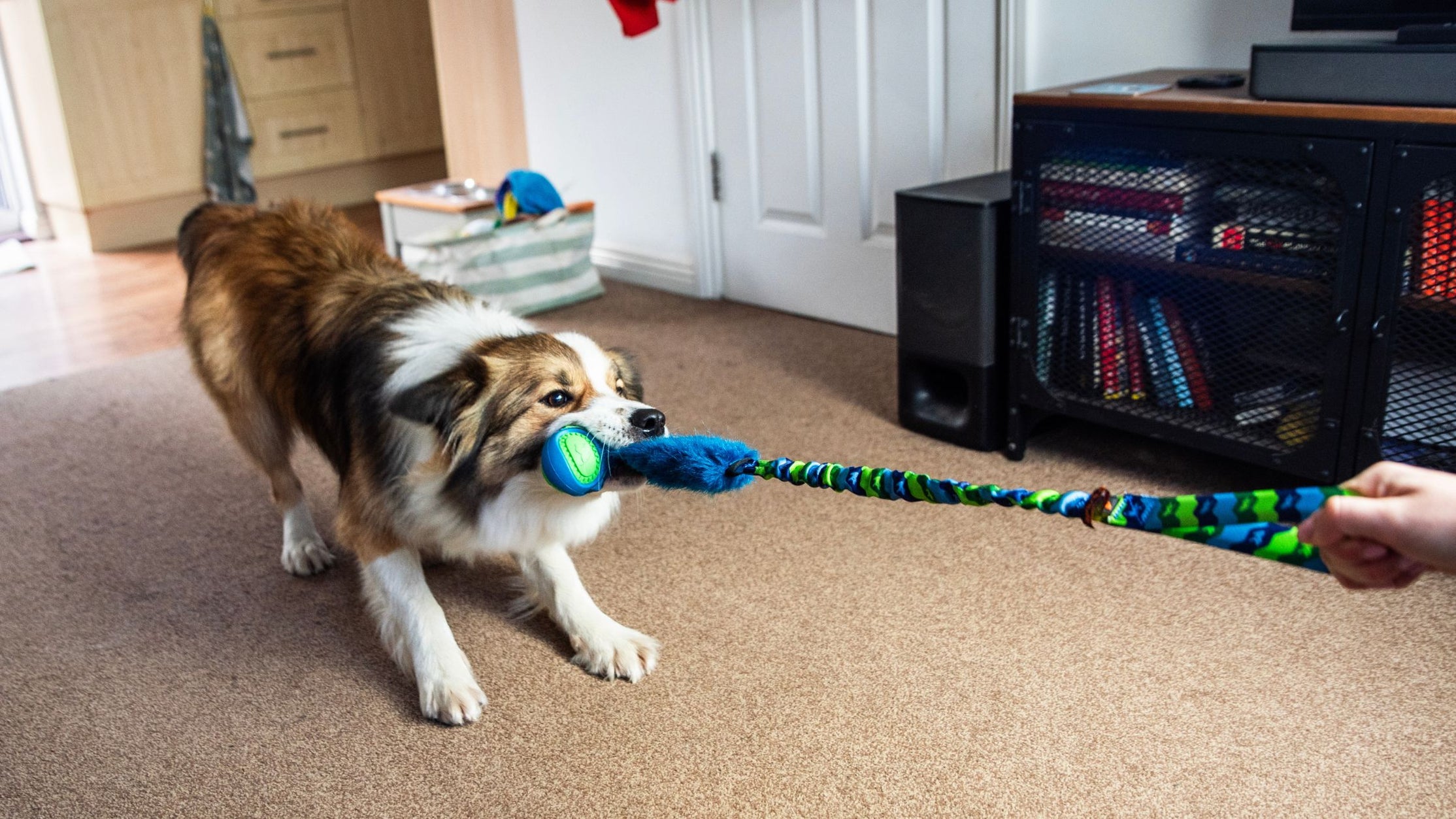 Tug-E-Nuff | #1 Dog Tug Toys | Play - Train - Bond